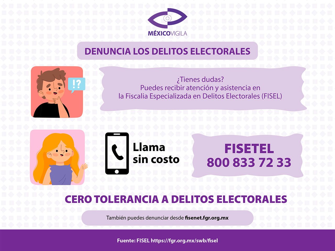 Delitos Electorales México Vigila